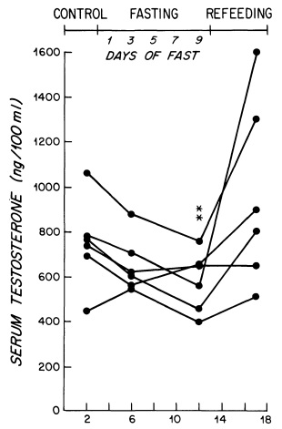 Intermittent fasting's effect on testosterone levels » TESTONATION