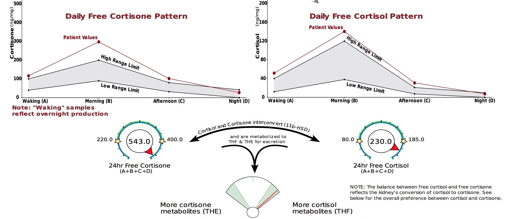 How to interpret your cortisol tests (blood, saliva & DUTCH test) for ...