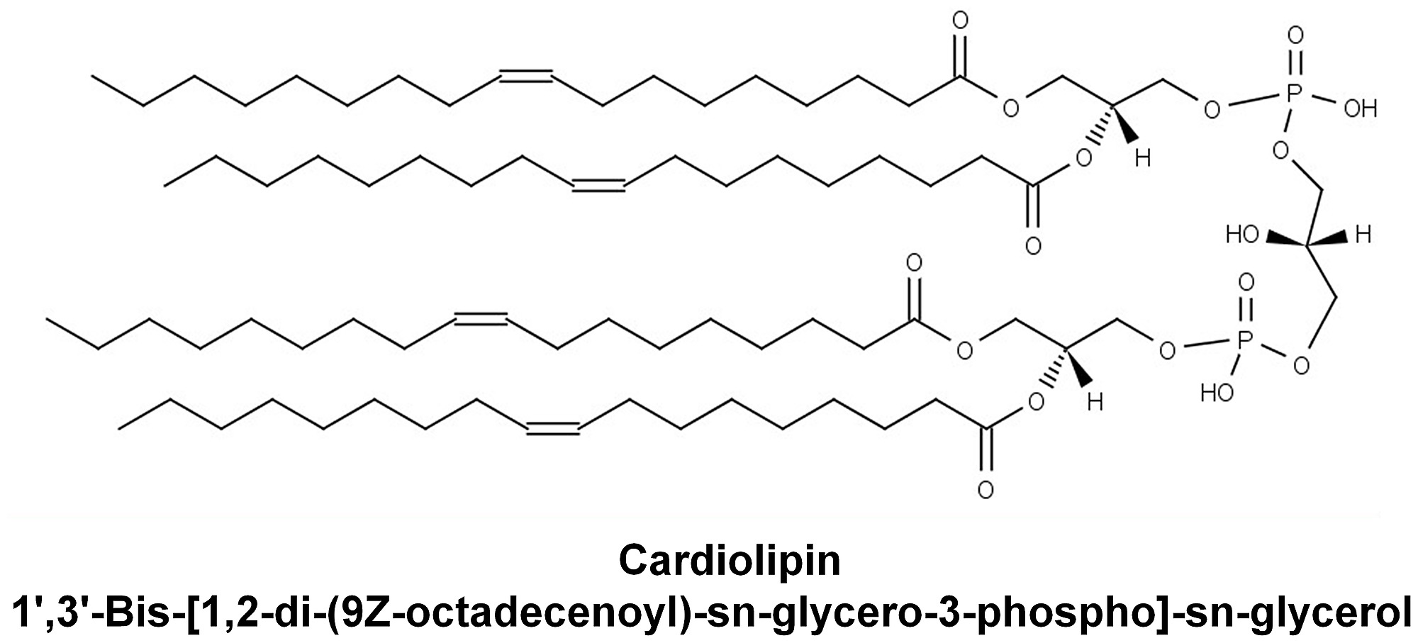 Why Omega 3 should be avoided and what to use/do instead » MENELITE