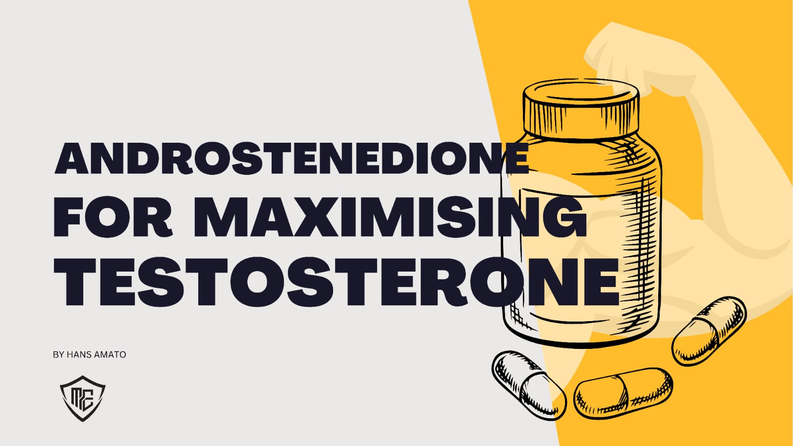 Androstenedione for maximizing testosterone; good or no? » TESTONATION